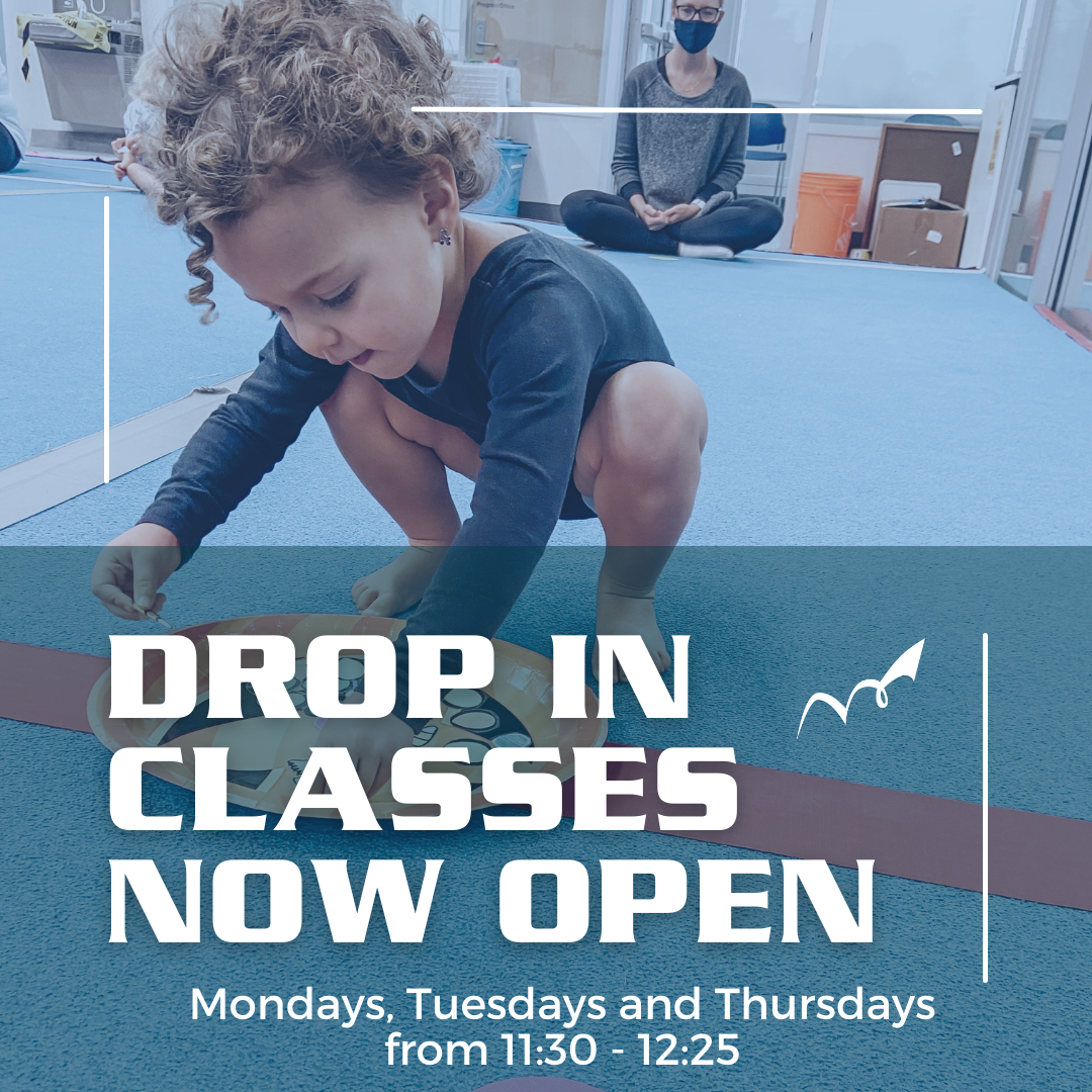 Home :: Milton Springers Gymnastics powered by Uplifter